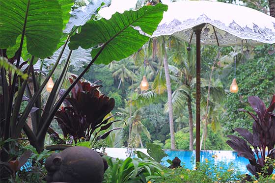 Gallery | Bucu View Ubud Resort | Official Website